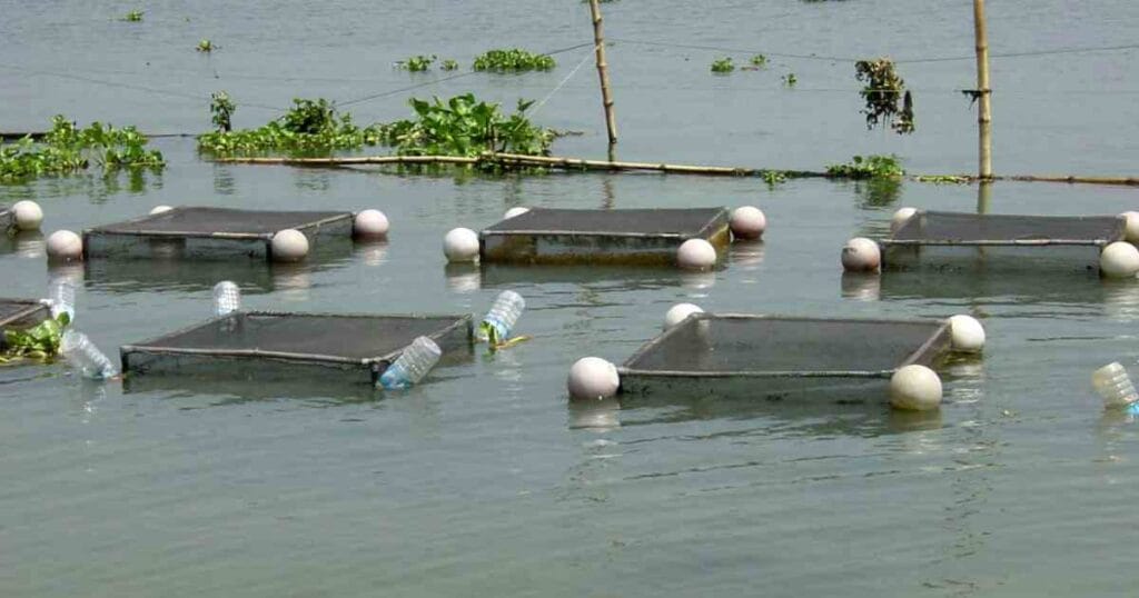 Cyclostomata- General Characteristic And Classification