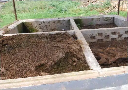 Vermiculture Project