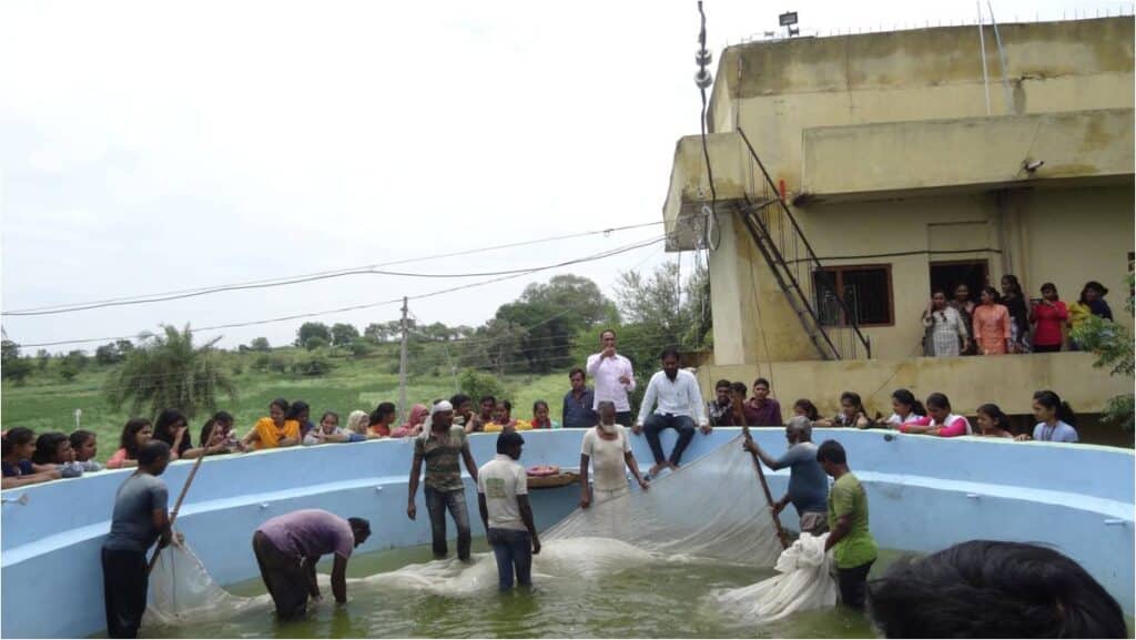 Water Vascular System Of Starfish (Asterias: A Sea Star)