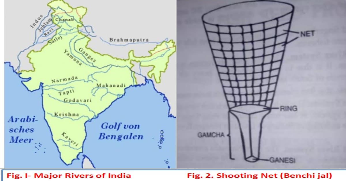Fish Seed Collection